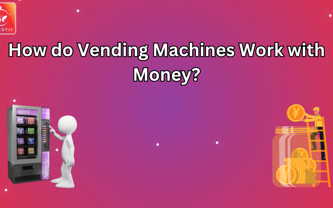 How do Vending Machines Work with Money? - Fraxotic